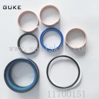 China Volvo Articulated Hauler A40 A30 BM Hydraulic Cylinder Repair Seal Kit Voe11700151 for sale