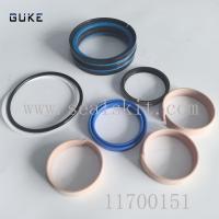 China Volvo Articulated Hauler A40 A30 BM Hydraulic Cylinder Repair Seal Kit Voe11700151 for sale