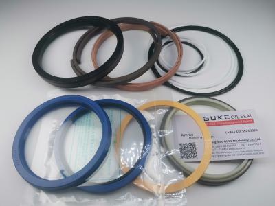 China Hydraulic Excavator Cylinder Seal Kit R220-9 Boom Seal Kit 31Y1-15885 92 Shore for sale