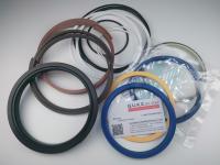 China Hyundai R220-9 Excavator Arm Seal Kit 31Y1-15236 Hydraulic Cylinder Repair Kit for sale