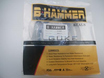 China Excavator EC460B Boom Cylinder Repair Seal Kit VOE14589143 ISO 9001 for sale