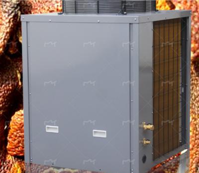 China Fast-Heating Quiet Operation Eco-Safe Technology Pool Heat Pump for Year-Round Efficiency for sale