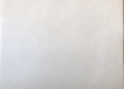 China 30g Water Electret Melt-Blown Non-Woven For FFP2, FFP3, KF94, KF99 Mask for sale