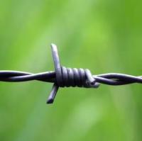 China Double Twist Barbed Wire for sale