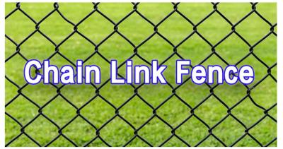 China Wholesale High Quality 100ft 8ft 8 Foot 6 Wire Mesh Green Pvc Coated Chain Link Fence Roll / Green Chain Link Fence for sale