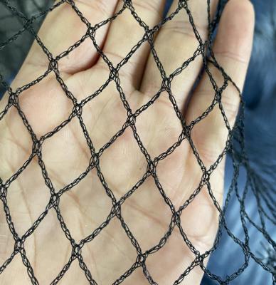 China China plastic mesh anti bird aviary vineyards netting for garden protection Anti Bird Netting For Greenhouse for sale