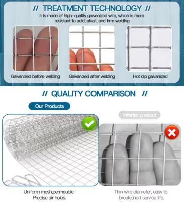 China Top Quality And Good Price Customizable 26 Gauge Galvanized Welded Wire Mesh Galvanized Welded Wire Mesh 2x2 Weight for sale
