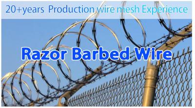 China Hot Dipped Barbed Wire Concertina Security Razor Barbed Wire Anti-climb Security Razor Barbed Wire for sale