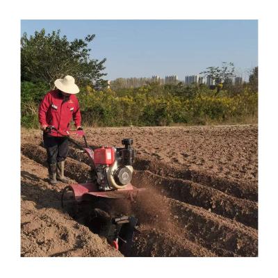 China Efficiently Cultivating Paddy Field and Dry Land Diesel Power Type Farming Equipment for sale