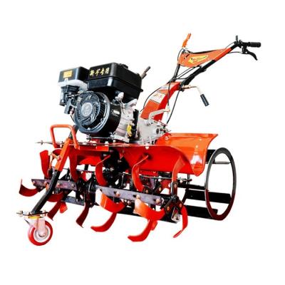 China Highly Compact Full-gear Transmission Mini Tiller Farm Equipment for 75 KG Load Capacity for sale
