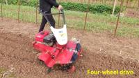 China Four-Wheel Drive Orchard Management Tiller with Hand Push and Belt-Gear Transmission for sale