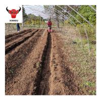 China Multi-purpose Orchard Cultivator Mini Tiller with Gear Transmission Sale for sale