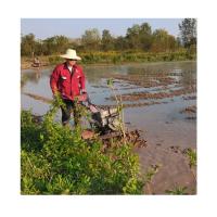 China Farm Equipment Newly-designed Four-wheel Drive Gear Transmission Mini Plow Power Tiller for sale