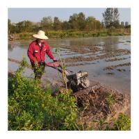 China Farm Equipment Newly-designed Four-wheel Drive Gear Transmission Mini Plow Power Tiller for sale