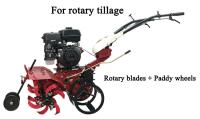 China Farm Cultivator Multi-purpose Mini Tiller for Rotary Tillage/ Weeding/Ditching/Ridging for sale