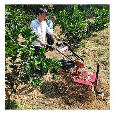 China Maximize Your Management Potential with Orchard Cultivator and 70cm Working Width for sale