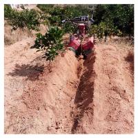 China Orchard Gasoline Micro-Power Tiller for Tilling Width of Over 10cm 145*62*85cm Size for sale