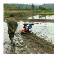 China High Safety Level Gasoline Cultivator Gasoline Farming Efficiency Boost for sale