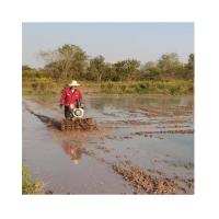 China All Gear Transmission Farm Cultivator Weeding Ridging Rotary Tillage Mini Power Tiller for sale