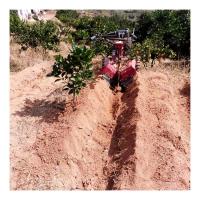 China Farming Machine High Safety Level Diesel Mini Power Tiller with Tilling Width Over 10cm for sale