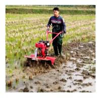 China High Safety Level Automatic Gasoline Engine Rotary Tillage Mini Tiller 160*62*108cm for sale