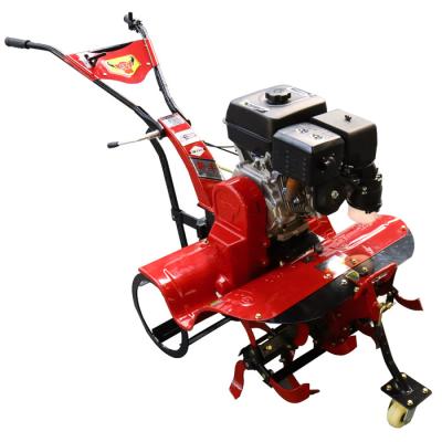 China High Safety Level Orchard Rotary Tiller with Gasoline Engine and Belt Transmission for sale