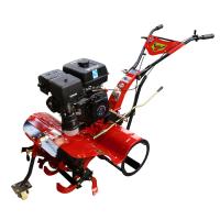China Economical Gasoline Engine Rotary Tiller Hand Push Cultivator for Orchard for sale