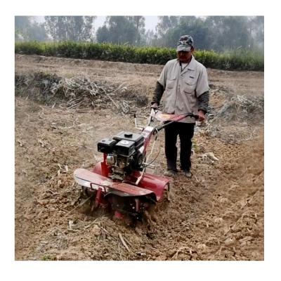 China 4KW Diesel Small Cultivator Labor-saving Operation for Agriculture Machinery Equipment for sale