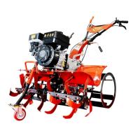 China 170F All Gear Transmission Directly Connected Farm Cultivator for and Rotary Tillage for sale