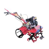 China 170F All Gear Transmission Directly Connected Farm Cultivator for and Rotary Tillage for sale