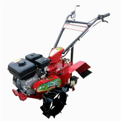 China Orchard Mini Tiller Short Model Gasoline Engine Cultivator with Optional 145*62*85cm for sale