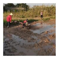 China Design All Gear Transmission Mini Power Tiller Cultivator for Weeding and Rotary Tillage for sale