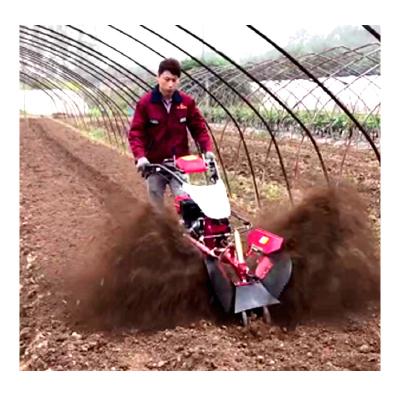 China Economical Mini Power Tiller Gear Cultivator 10-40cm Tilling Width and Gasoline Ditching for sale