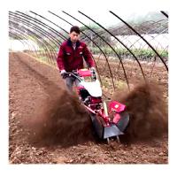 China Adjustable Tilling Width Diesel Engine Trenching Cultivator for Precise Farming for sale
