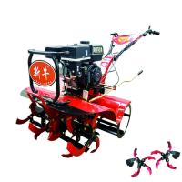China Farm Cultivator 160*62*108cm Economical Cultivating Machine Manual Start Mini Tiller for sale