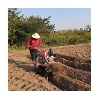 China Mini Power Tiller Cultivator for Farming 186F All Gear Transmission Four-wheel Drive for sale