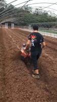 China Easy Start Cultivator Mini Tiller for Quick and Easy Cultivation at 4KM/H Work Speed for sale