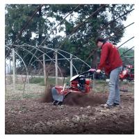 China 150 KG Mini Tiller Diesel Engine for Agricultural Equipment and Ditching Machine for sale