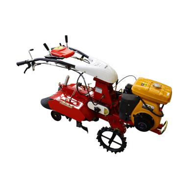 China Gear Transmission Mini Micro Rotary Walking Trencher Machine for in Tillage Option for sale