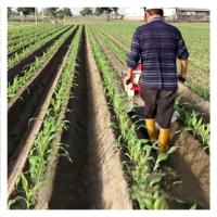China Gear Transmission Mini Micro Rotary Walking Trencher Machine for in Tillage Option for sale