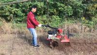 China Orchard Cultivator Four-wheel Drive Power Tiller With Gear Transmission For Agriculture for sale