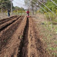 China Multi-purpose Orchard Gasoline Power Tiller Engine for Weeding Ditching and Ridging for sale