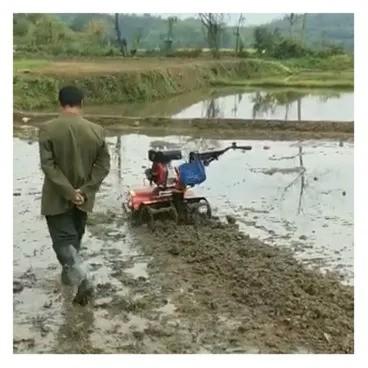 China Durable Gasoline Engine Mini Cultivator for Agriculture Machine Working Width 45-85cm for sale