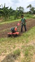 China Durable Gasoline Engine Mini Cultivator for Agriculture Machine Working Width 45-85cm for sale