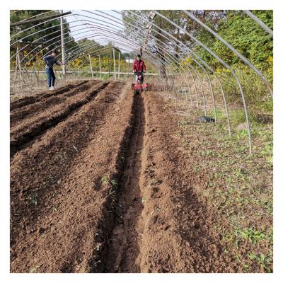 China 4KM/H Work Speed Gasoline Engine Mini Power Tiller Power Weeder Rotavator Cultivator for sale