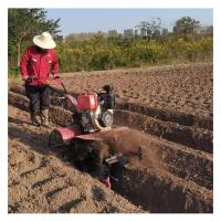 China All Gear Transmission Mini Power Tiller Cultivator Ideal for Heavy-Duty Farming Needs for sale