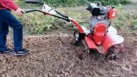 China Garden 7HP Mini Tiller Farm Cultivator Work Speed of 4KM/H for Maximum Productivity for sale