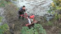 China Advanced Four-Wheel Drive Gasoline Engine Farm Cultivator for Agriculture Equipment for sale