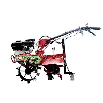 China Four-Wheel Drive Economical Orchard Gasoline Engine Power Tiller with Gear Box for sale