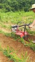 China Four-Wheel Drive Economical Orchard Gasoline Engine Power Tiller with Gear Box for sale